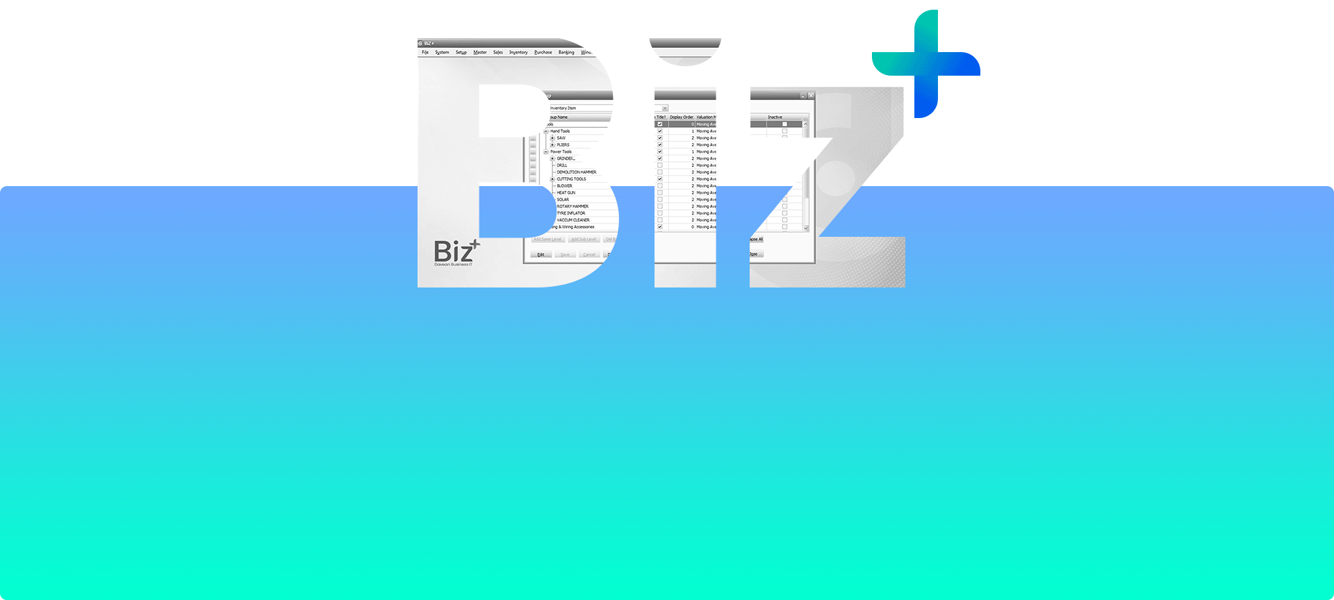About us – Biz Plus